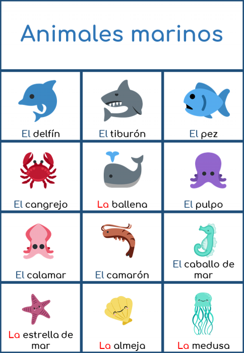 Sea Animals In Spanish For Preschool And 1st Grade Animales Marinos En Espa ol Dasbeth Online sea-animals-in-spanish-for-preschool-and-1st-grade-animales-marinos-en-espa-ol-dasbeth-online